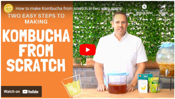 Two easy steps to making Kombucha from Scratch - Controlling The Odds